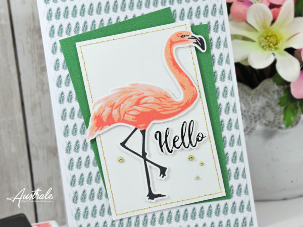 Com16 : Collection June – Hello Flamingo | Australe Créations