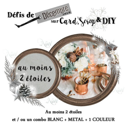 CS & DIY : Les défis de Décembre | Australe Créations